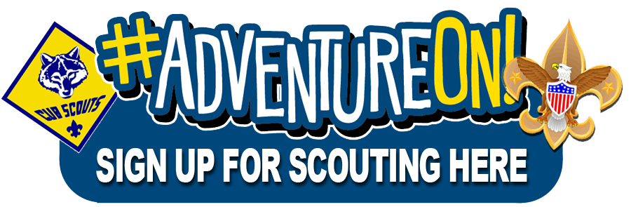 Safeguarding Youth Training Instructions